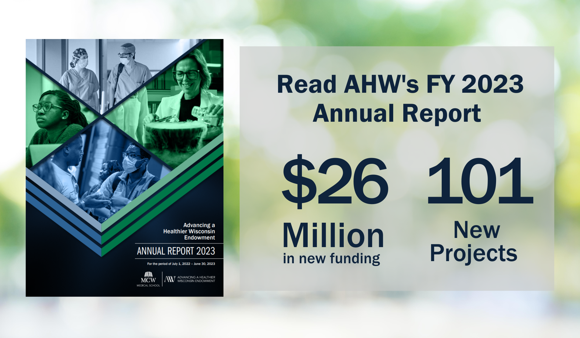 The Advancing a Healthier Wisconsin Endowment Releases Annual Report